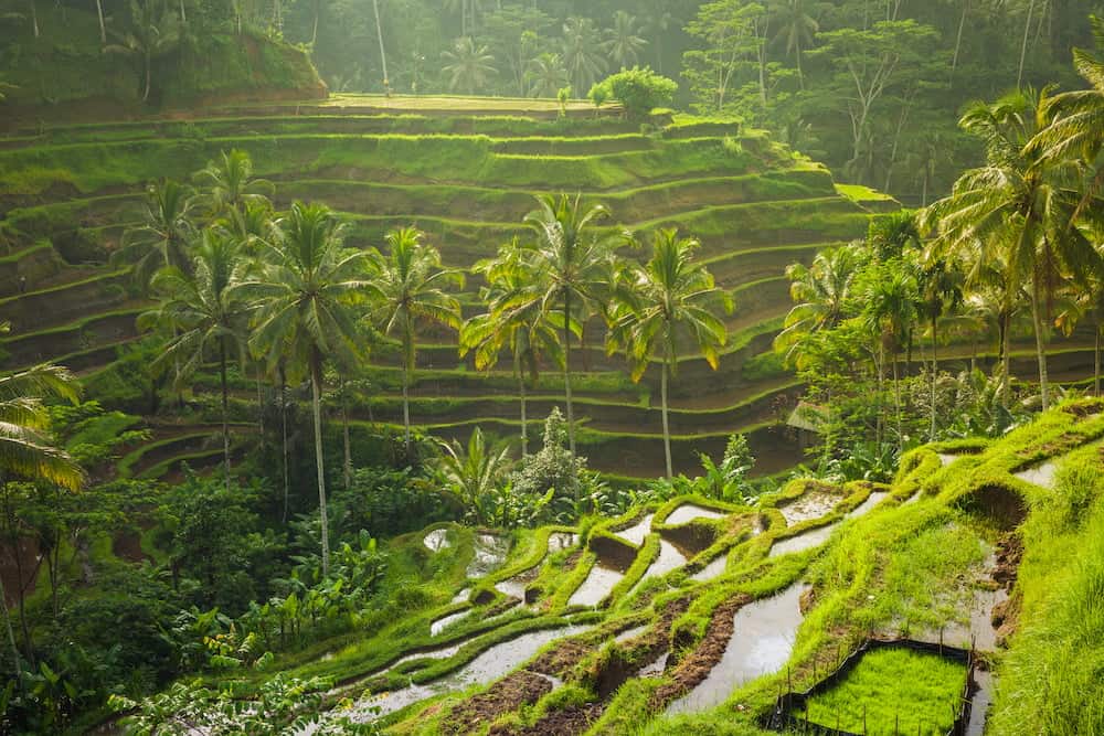 13 Incredible Must Visit Places in Bali for First Timers (2026)