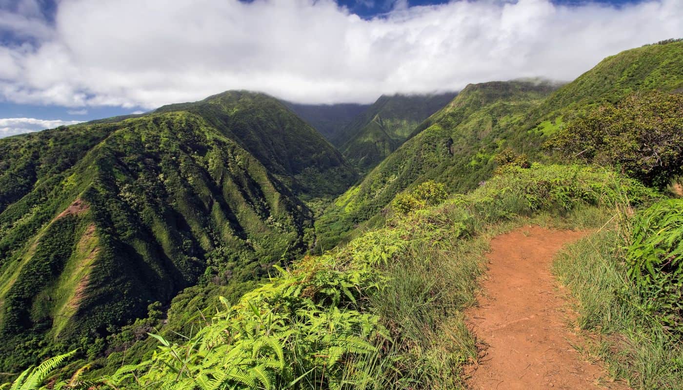 23 Best Things to Do in Maui for Your Bucket List (2026)