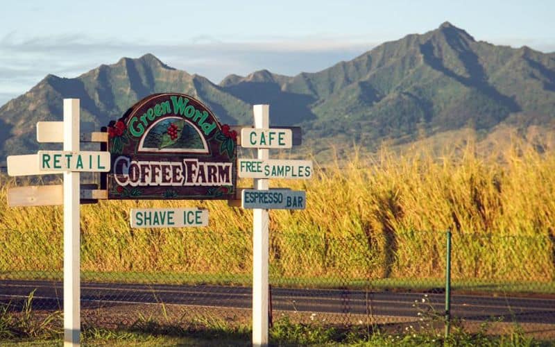 12 Cafes to Find the Best Coffee in Oahu (2025 Guide)