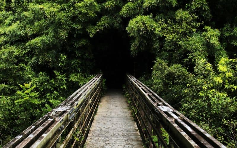 Get Off the Beaten Path: 19 Hidden Gems of Maui (2026)