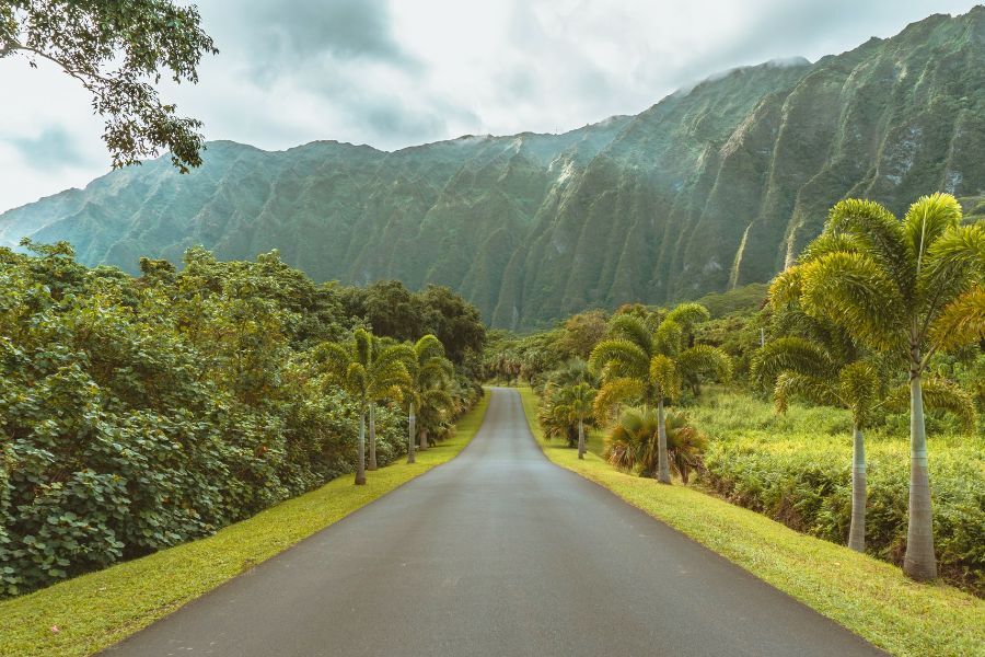 7 Stunning Oahu Botanical Gardens to Visit (2026)