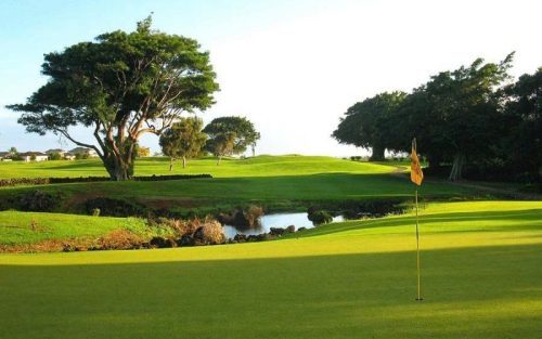 8 Best Golf Courses in Kauai for All Skill Levels (2025)