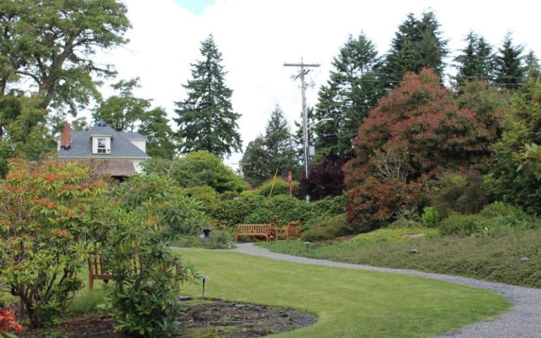 13 Amazing Nature Walks & Hikes on Bainbridge Island (2026)