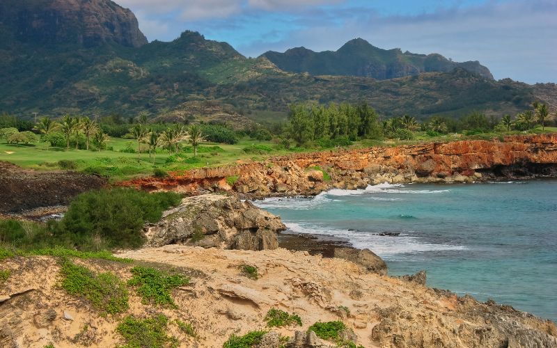 12 of the Best Places to See Turtles in Kauai (2026)