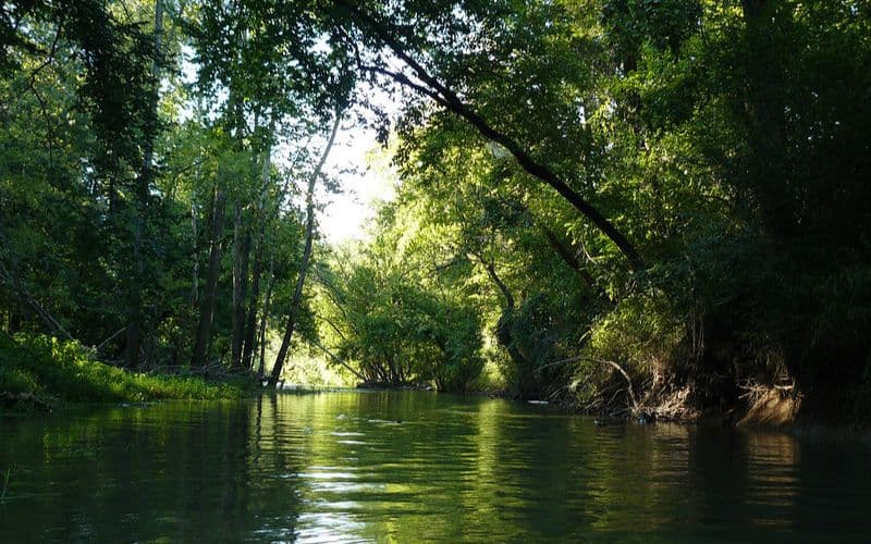 Top 10 Rivers & Lakes to Go Floating in Oklahoma (2026)
