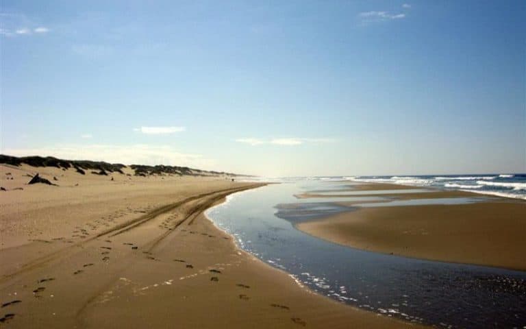 9 Best Beaches in Florence, Oregon: A Local's Guide (2025)