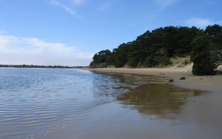 9 Best Beaches in Florence, Oregon: A Local's Guide (2025)