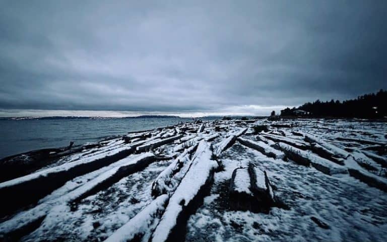 Does it Snow in Seattle? When & How Often Revealed (2026)