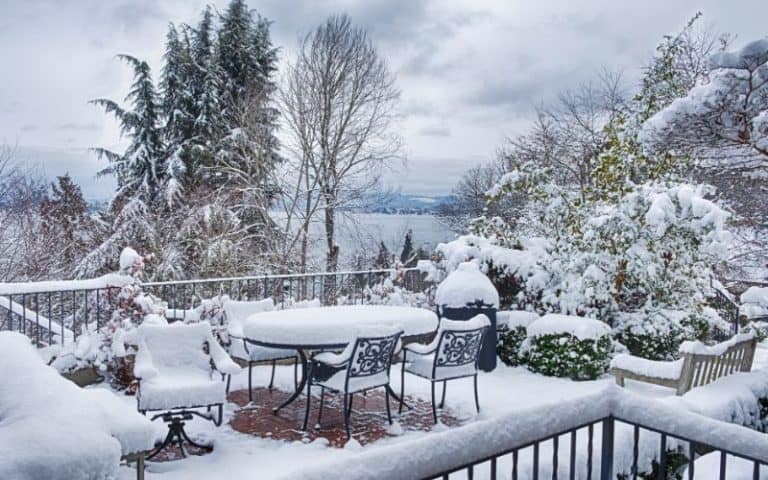 Does it Snow in Seattle? When & How Often Revealed (2026)