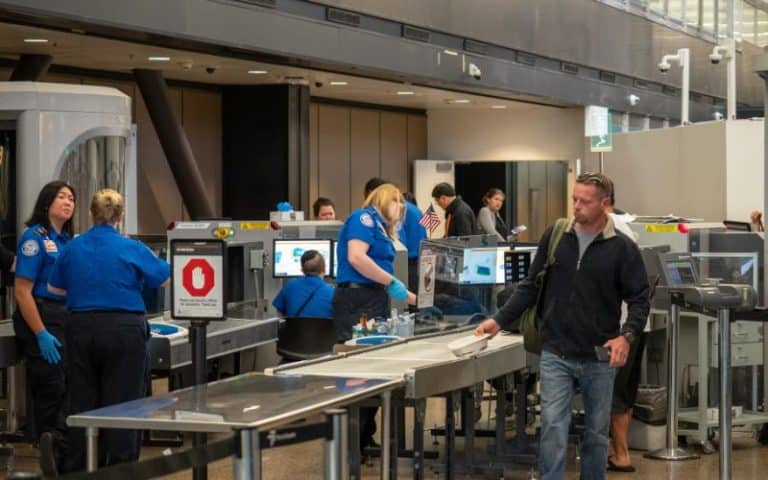 Can You Bring Flowers on a Plane? Traveler's TSA Guide (2026)