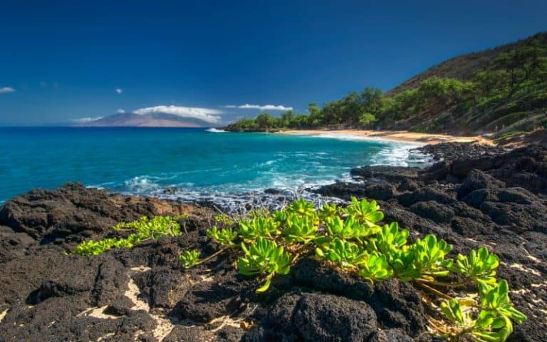 Little Beach, Maui: Ultimate Guide with Secret Tips (2026)