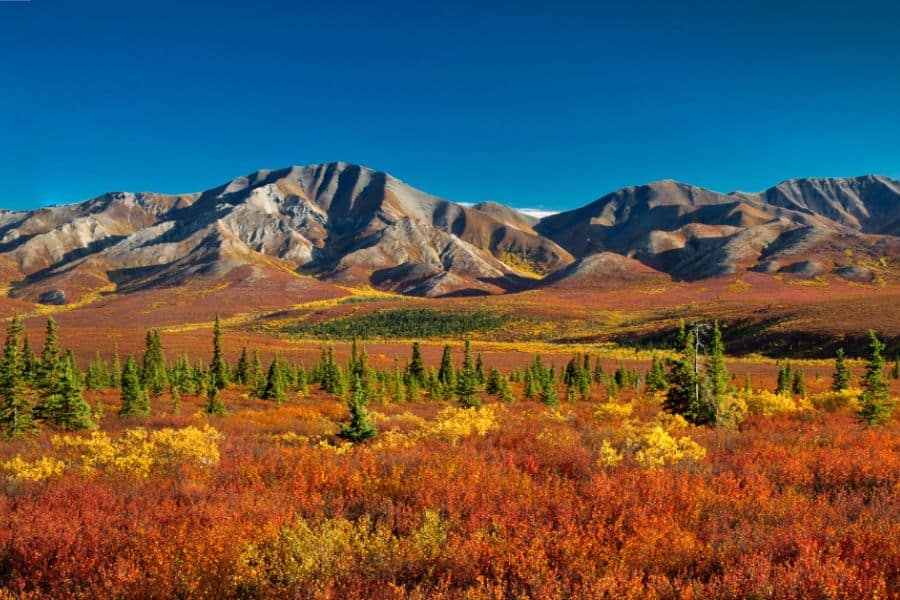 Ultimate Guide to Traveling to Alaska in October (2025)