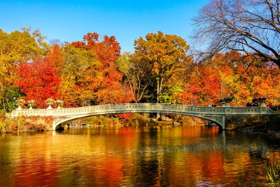 NYC Fall Bucket List: 15 Fun Activities You Can't Miss (2026)