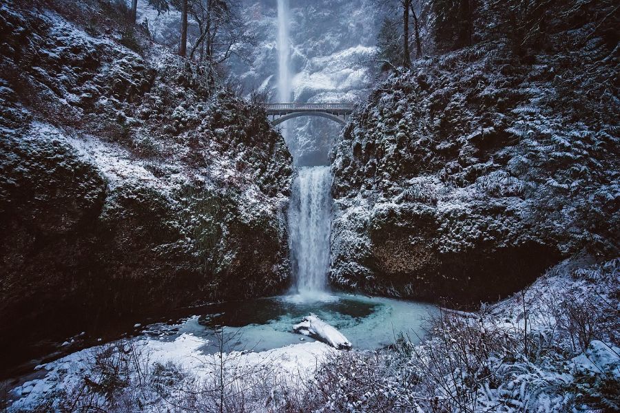 Ultimate Guide to Traveling to Oregon in January (2025)