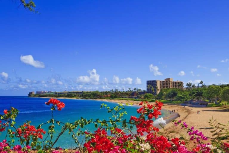 15 Best Maui Excursions to Add to Your Bucket List (2025)