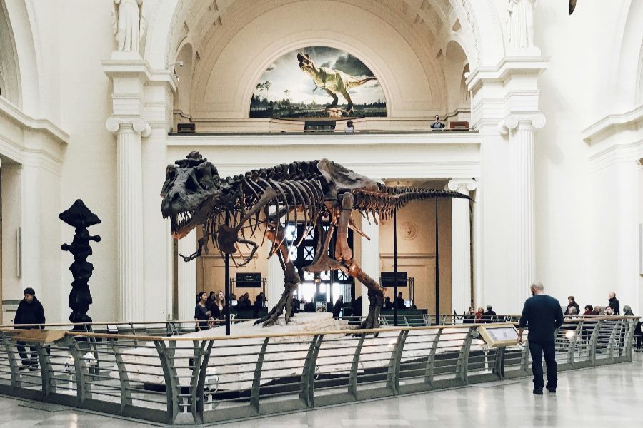 12 Best Museums to Visit in Chicago (2026)