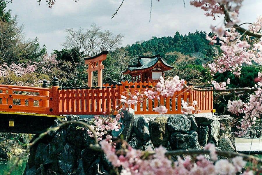 15 Best Places to Visit in Japan in April (2026)